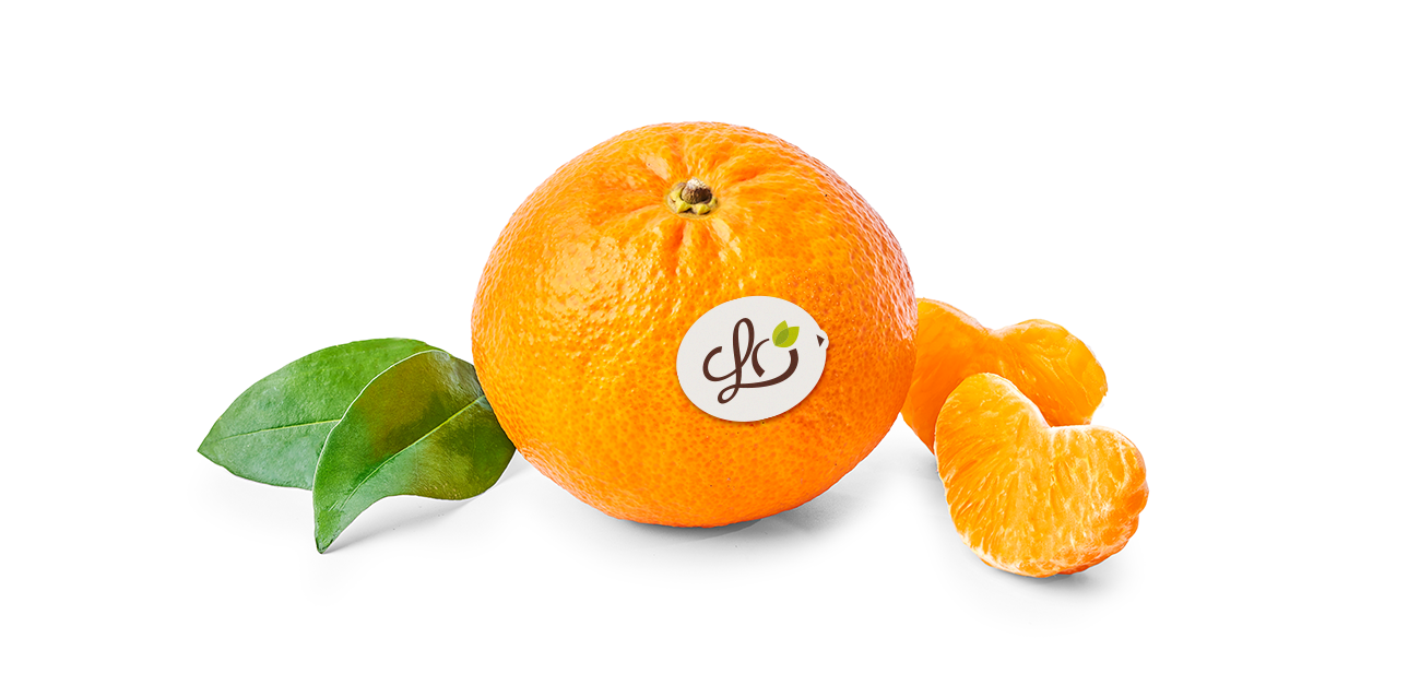 Leanri – Qué grande eres