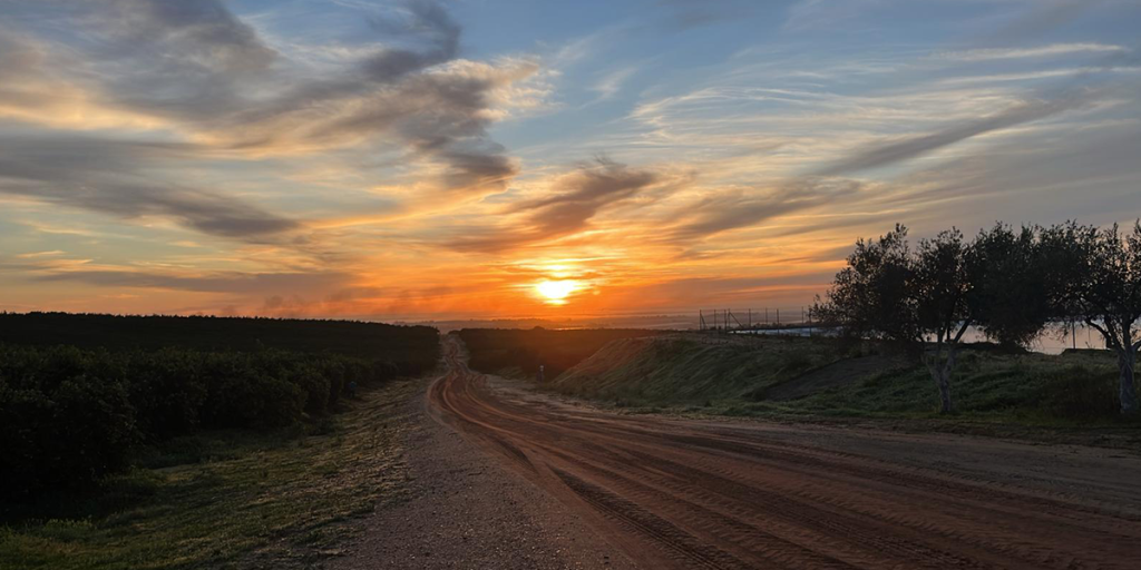 “Cuando encontramos Leanri, nos decidimos por ella desde primera hora ...